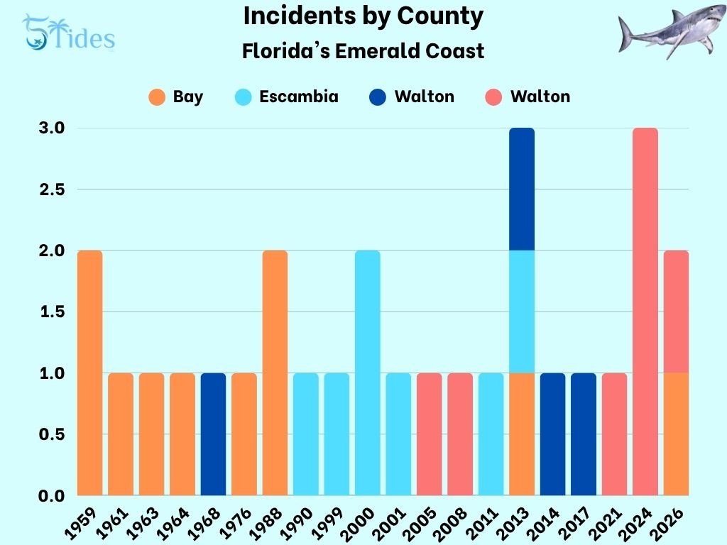 The Reality of Shark Attacks on Florida's Emerald Coast and Highway 30A ...